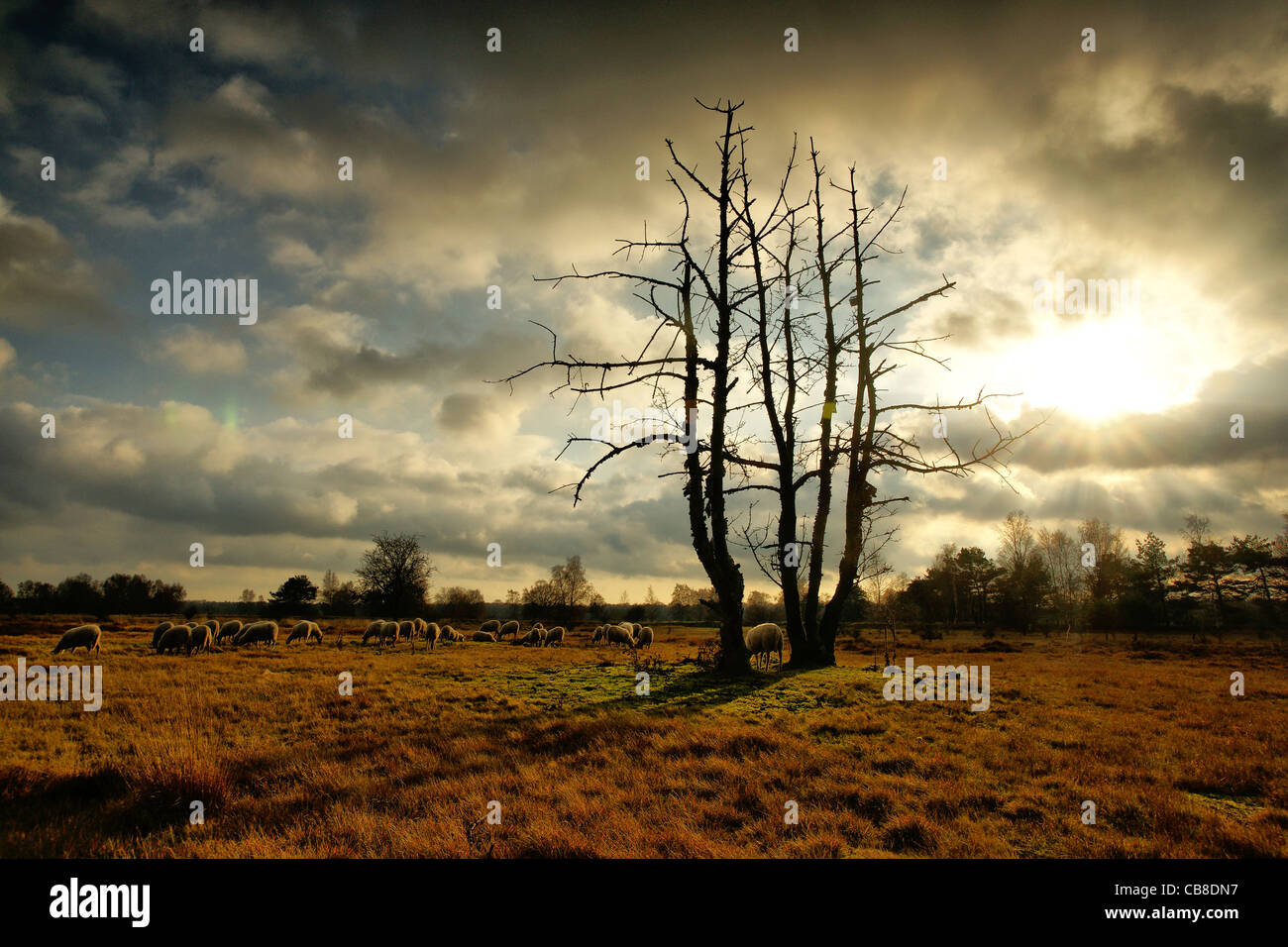 Clouds and moorland hi-res stock photography and images - Alamy