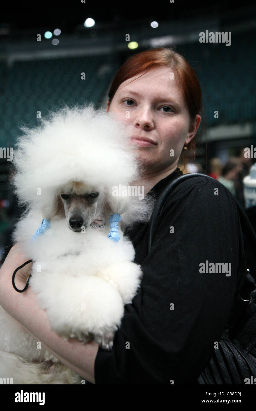 The girl with a dog Poodle Stock Photo - Alamy