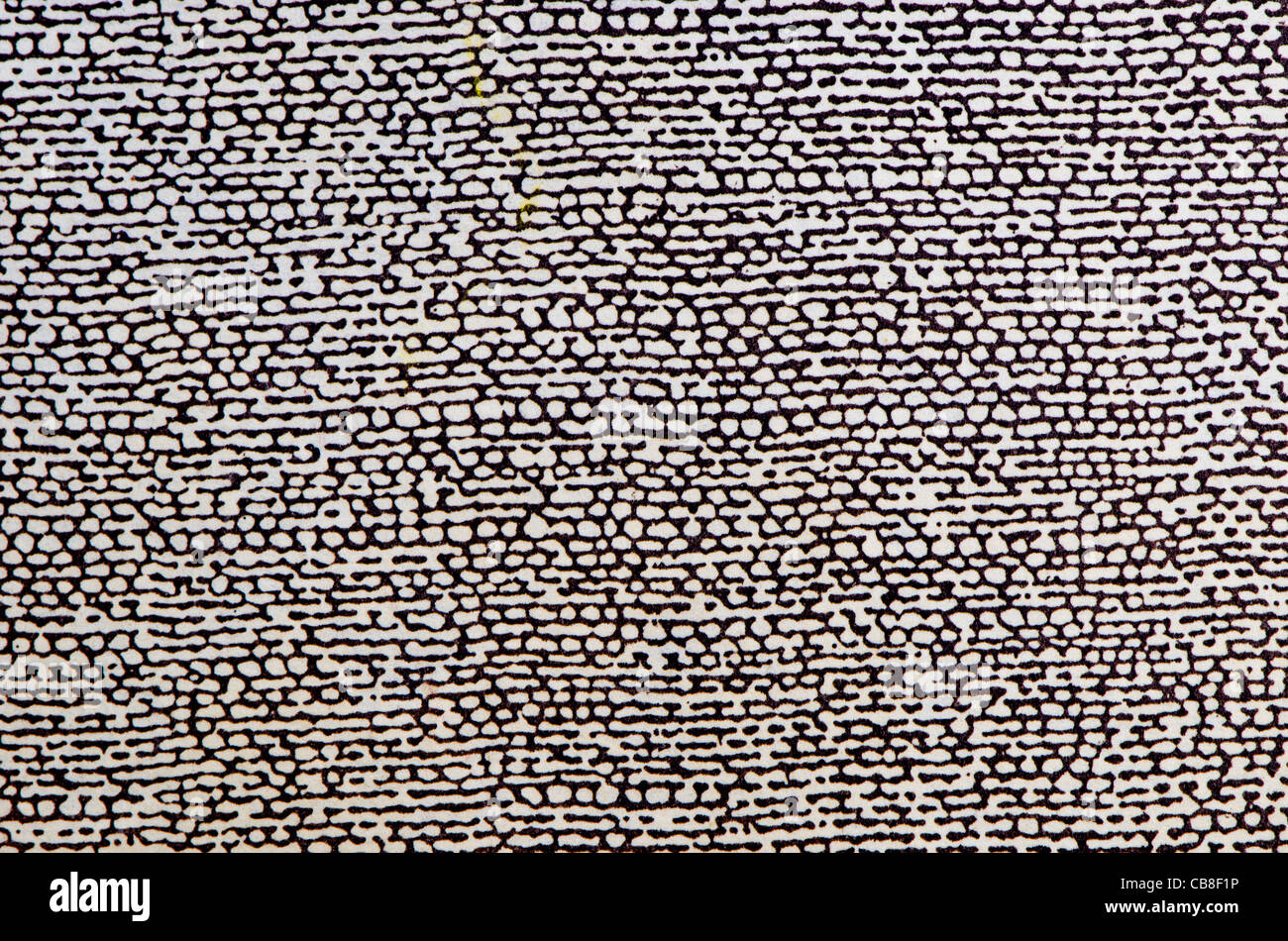 old book flyleaf macro background Stock Photo - Alamy