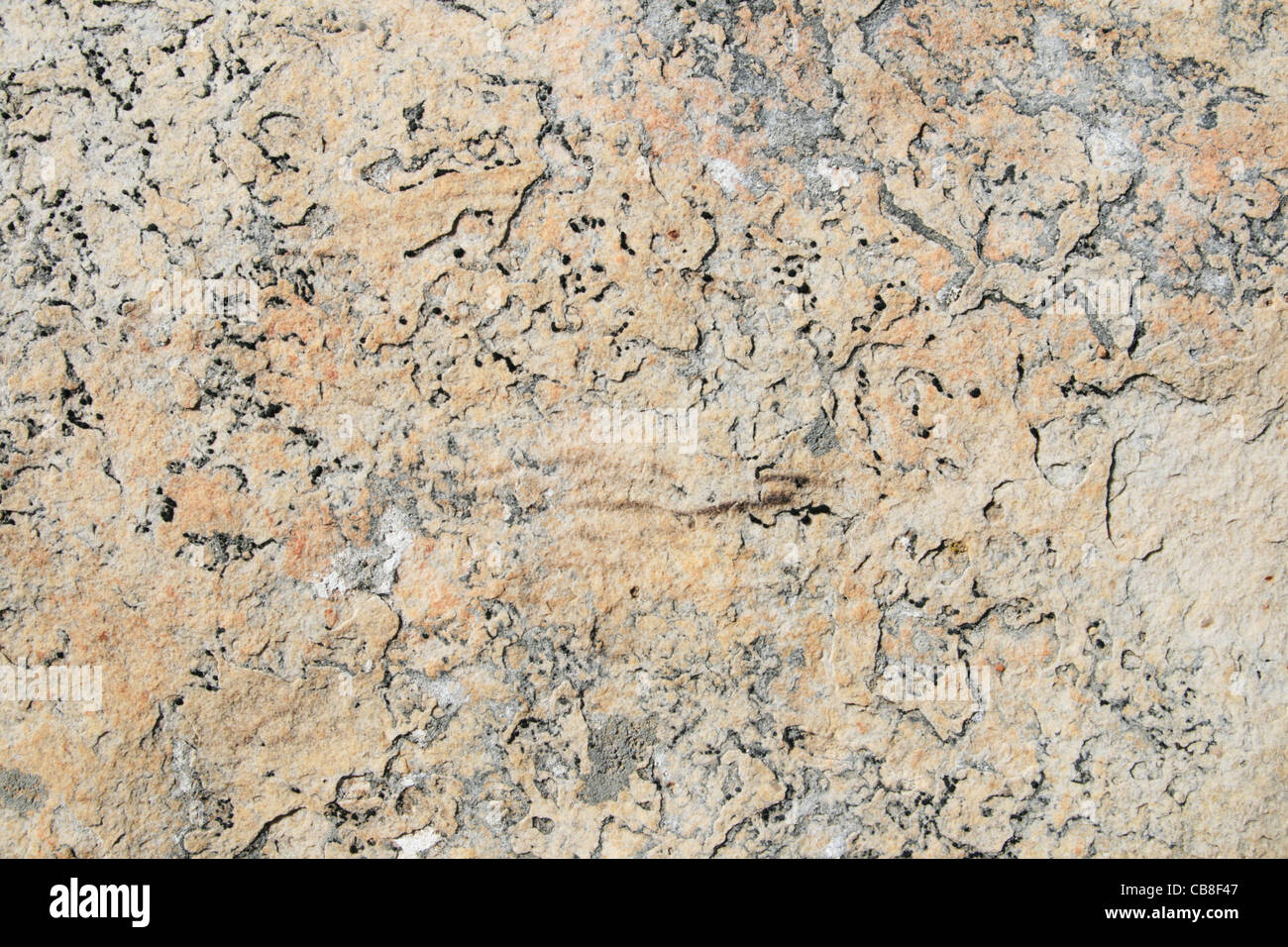 quartzite background surface with interesting texture Stock Photo - Alamy
