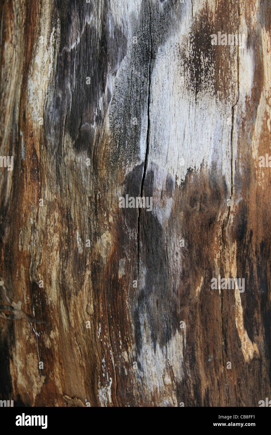 stained splitting wood background texture Stock Photo - Alamy