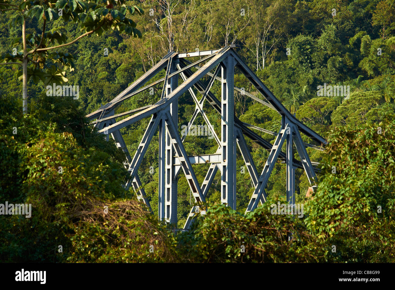 Steel bridge in the rainforest Stock Photo - Alamy