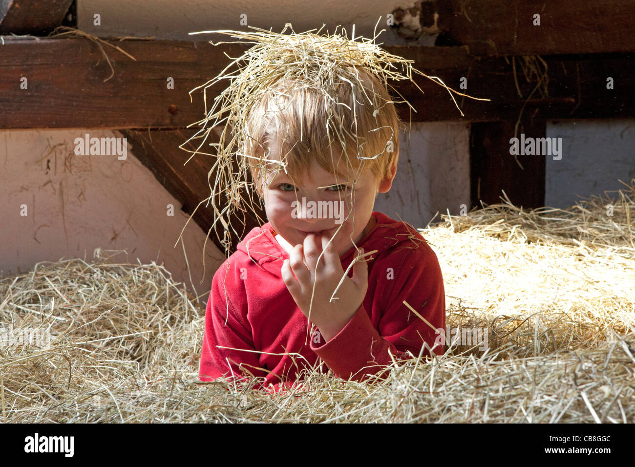 portrait of a young boy sitting in hay Stock Photo - Alamy