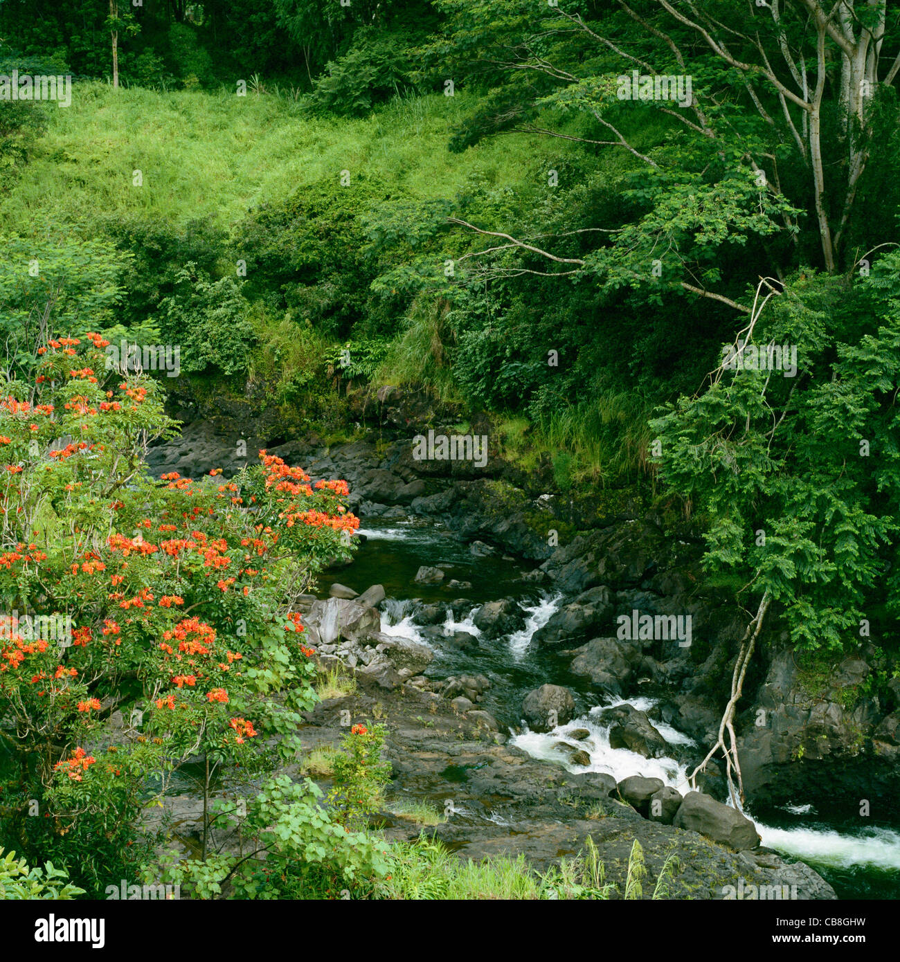 Boiling Pots Wailuku River State Park Big Island Hawaii Stock Photo - Alamy