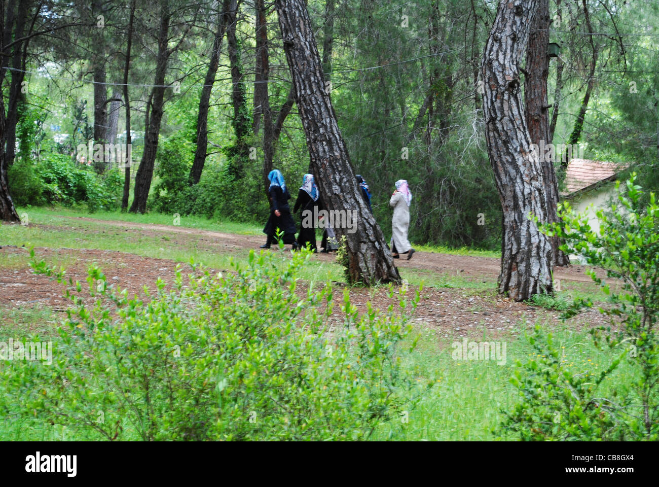 Muslim women walking in the park Stock Photo - Alamy