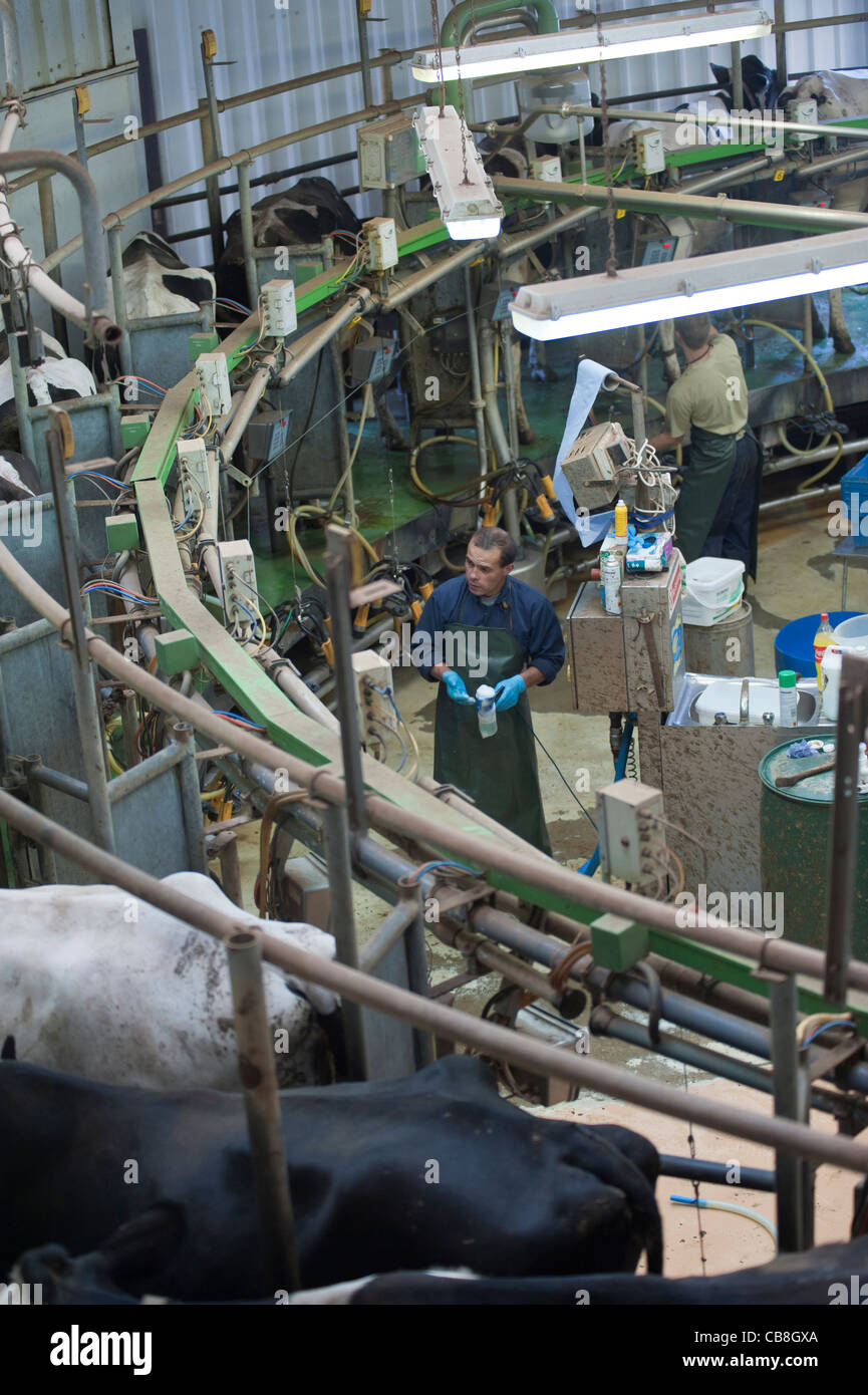 Diary Farm. England UK Stock Photo - Alamy