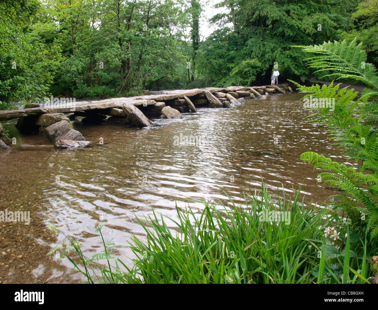 Tarr steps, an ancient clapper bridge on the River Barle, Exmoor ...