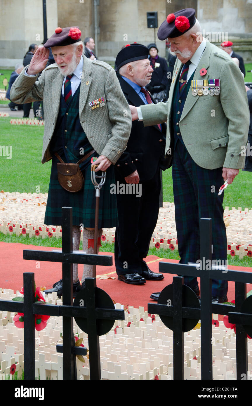 Scottish veterans salute the fallen in Field of Remembrance outside ...