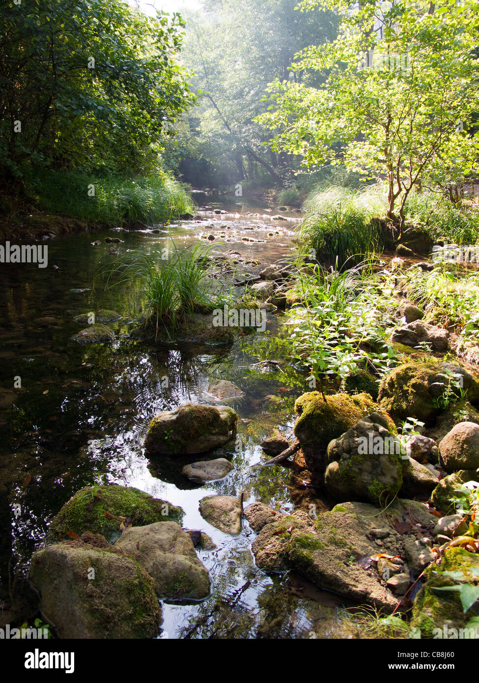background, boulders, brook, cascade, creek, ecology, environment ...