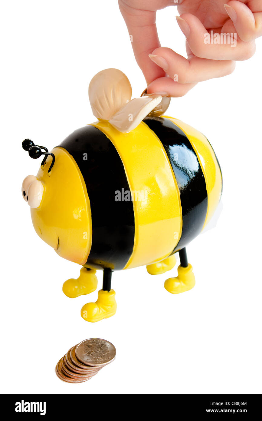 photo of the isolated on white bee moneybox with woman hand inserting ...