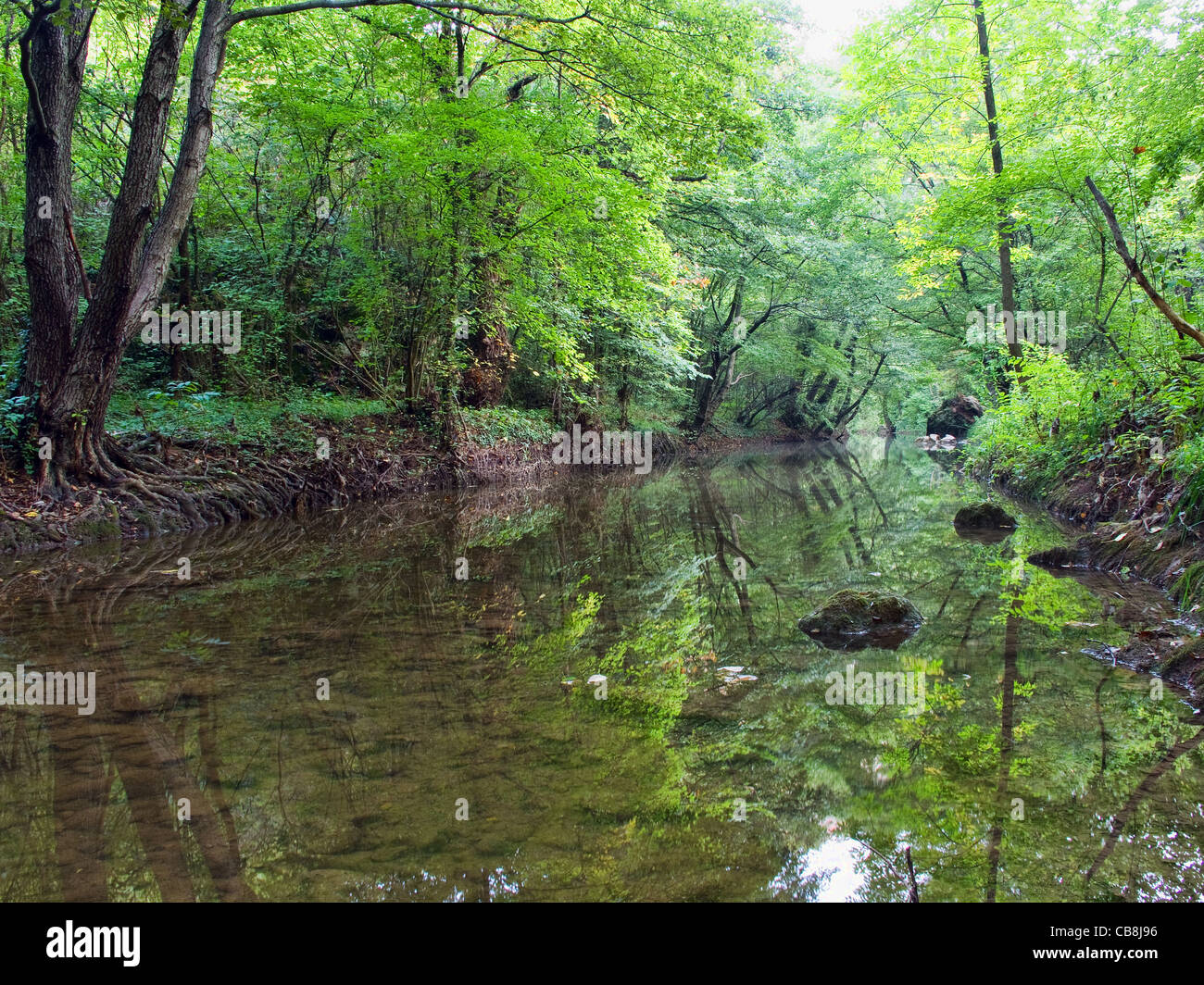 background, boulders, brook, cascade, creek, ecology, environment ...