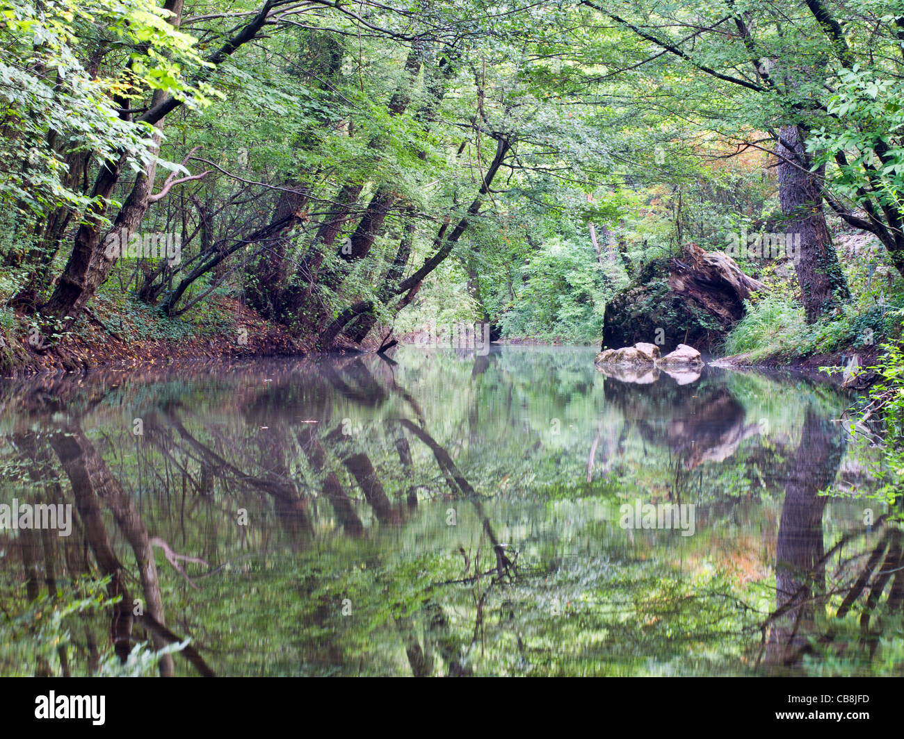 background, boulders, brook, cascade, creek, ecology, environment ...