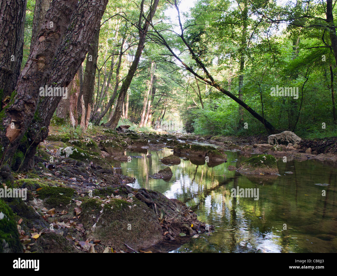background, boulders, brook, cascade, creek, ecology, environment ...