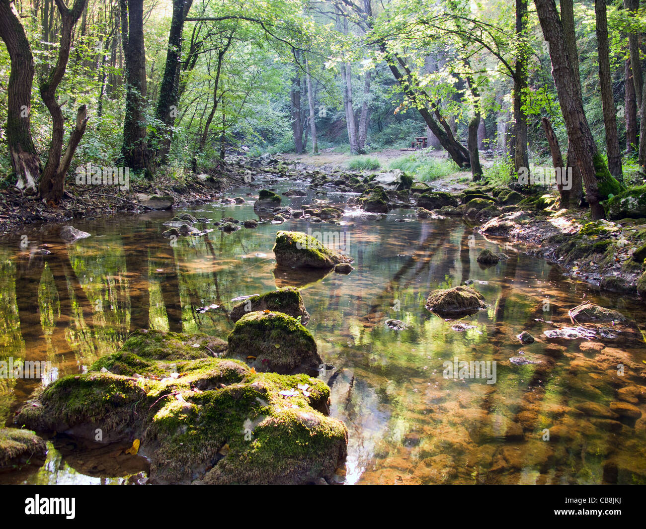 background, boulders, brook, cascade, creek, ecology, environment ...