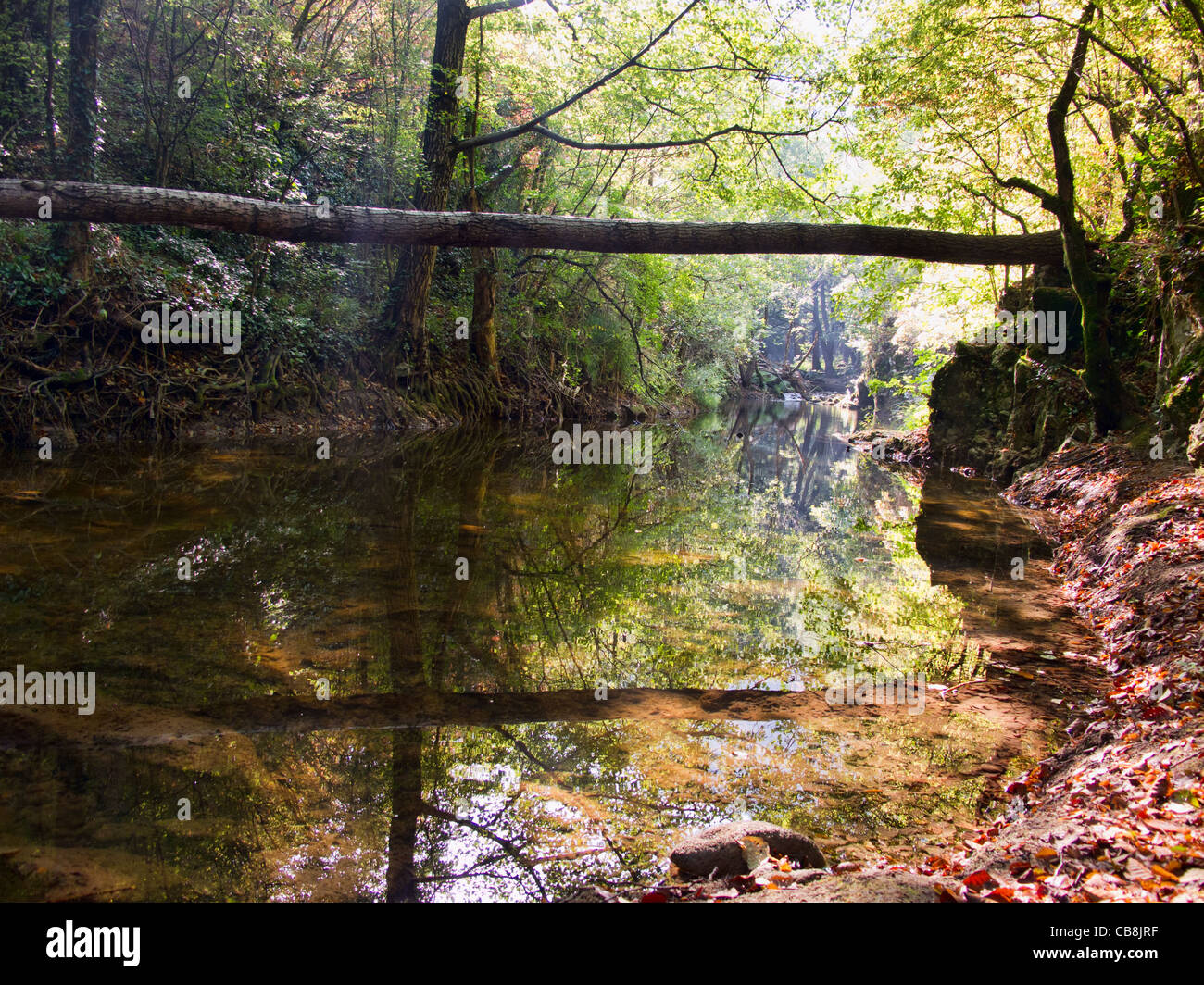 background, boulders, brook, cascade, creek, ecology, environment ...