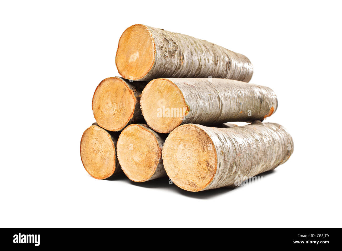 Cross section beech tree trunk hi-res stock photography and images - Alamy