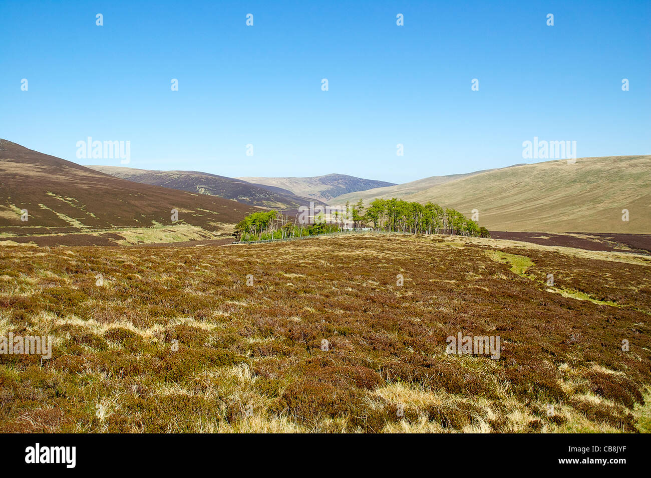 Skiddaw house, lake district hi-res stock photography and images - Alamy