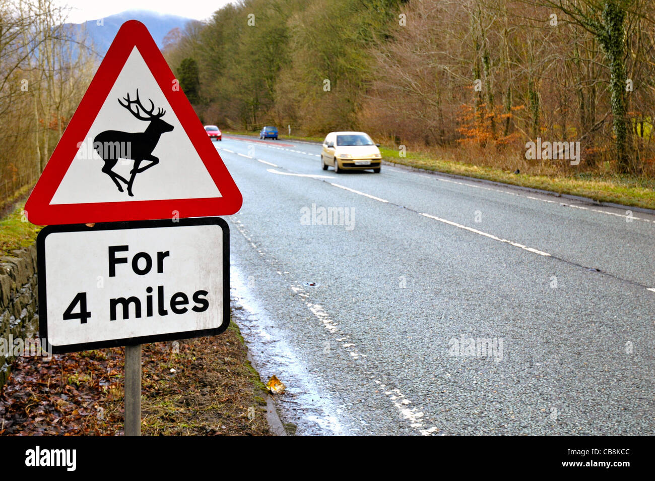Wildlife warning sign on the A66, Bassenthwaite, Cumbria Stock Photo ...