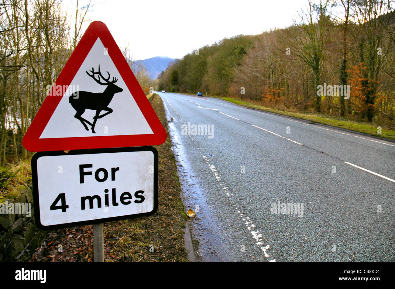 Wildlife warning sign on the A66, Bassenthwaite, Cumbria Stock Photo ...