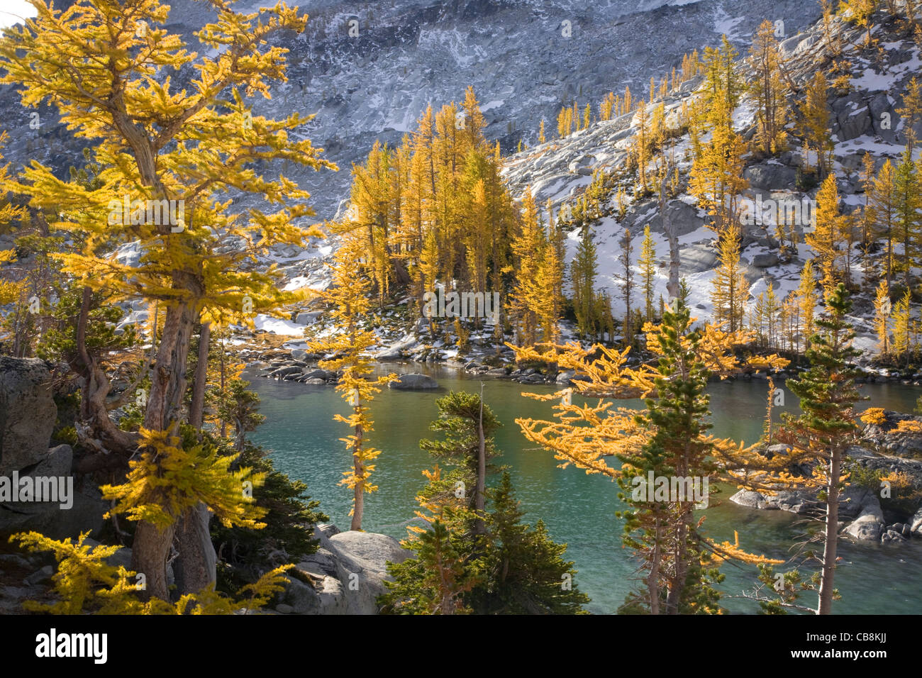 Fall color among the larches growing around Perfection Lake in the ...