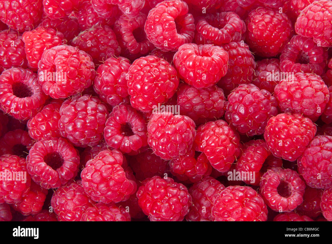 Fresh ripe raspberries which fill the frame of this image Stock Photo ...