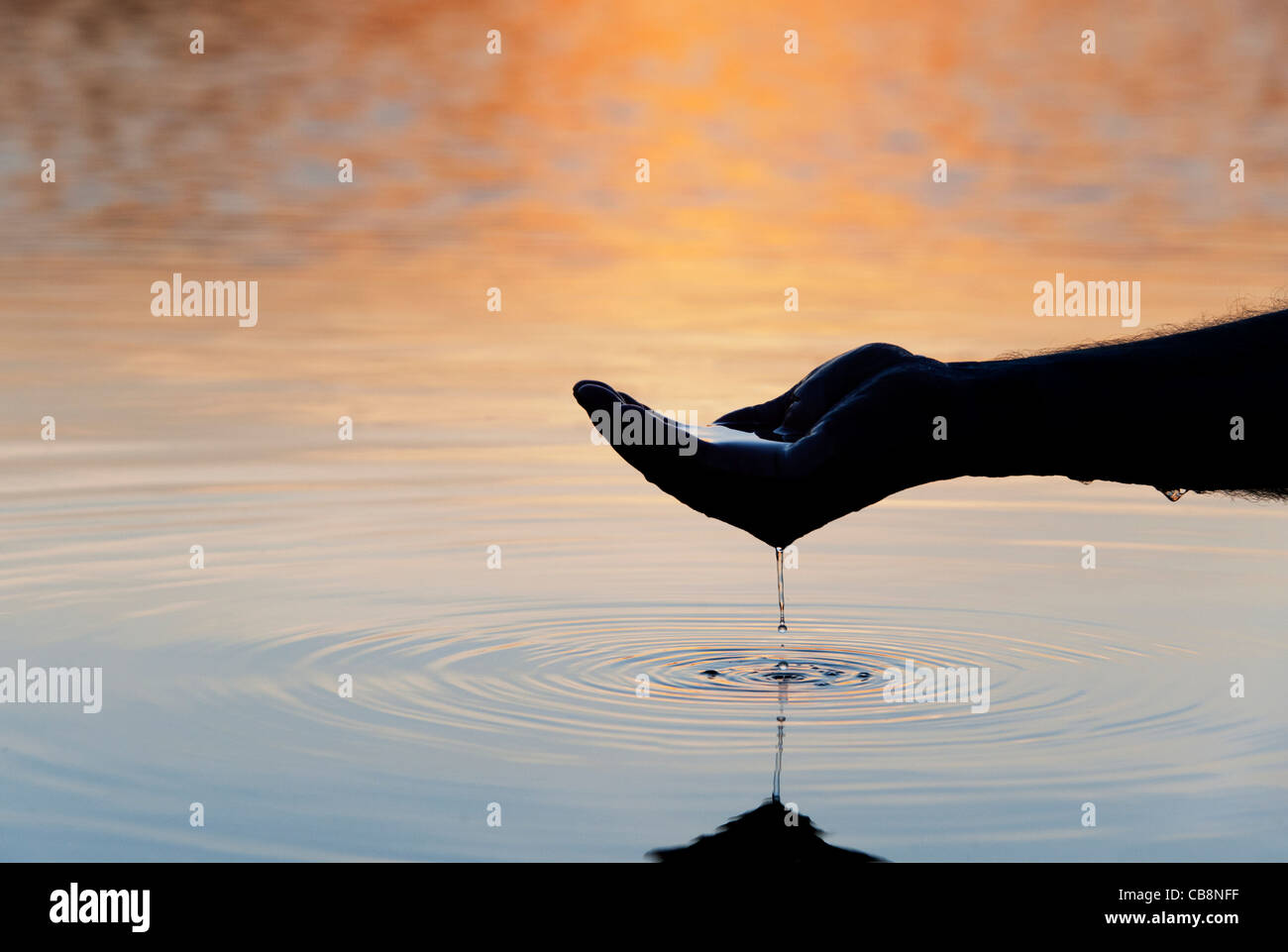 Cupped hand scooping up water in a still lake at sunrise in India ...