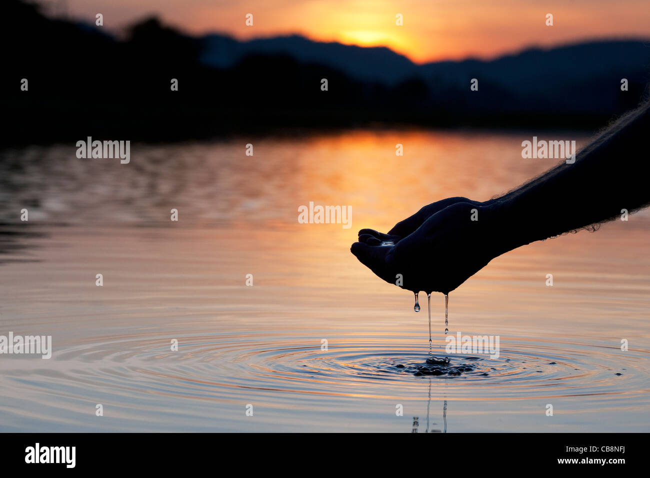 Cupped hands scooping up water in a still lake at sunrise in India ...