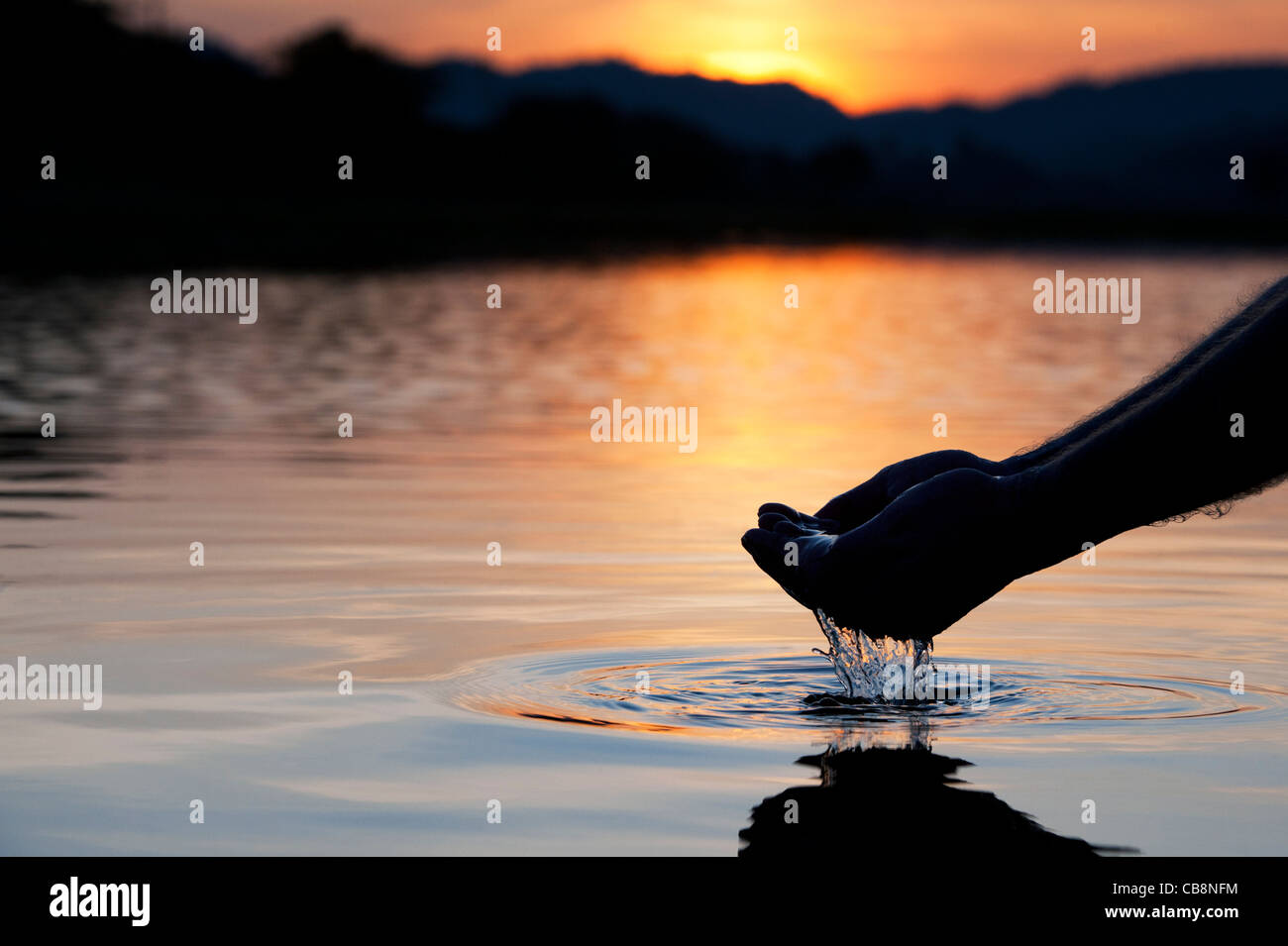 Cupped hands scooping up water in a still lake at sunrise in India ...