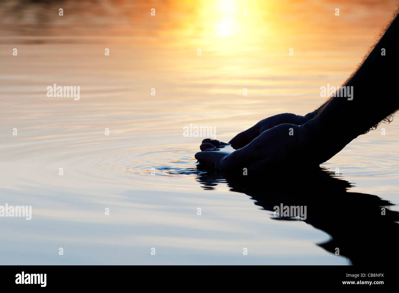 Cupped hands scooping up water in a still lake at sunrise in India ...