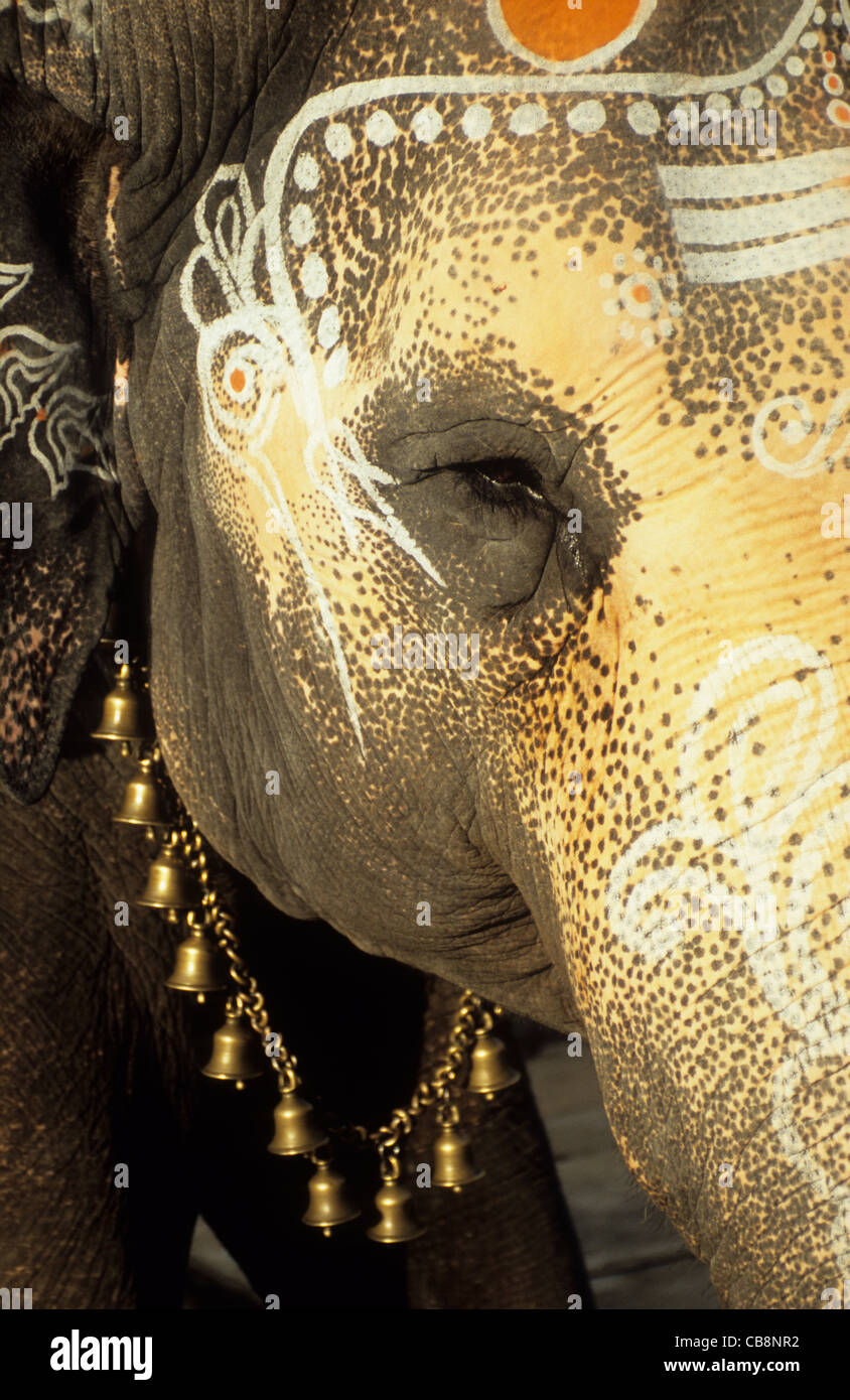 India, Tamil Nadu, Kanchipuram, Varadarajaperumal temple, Elephants ...