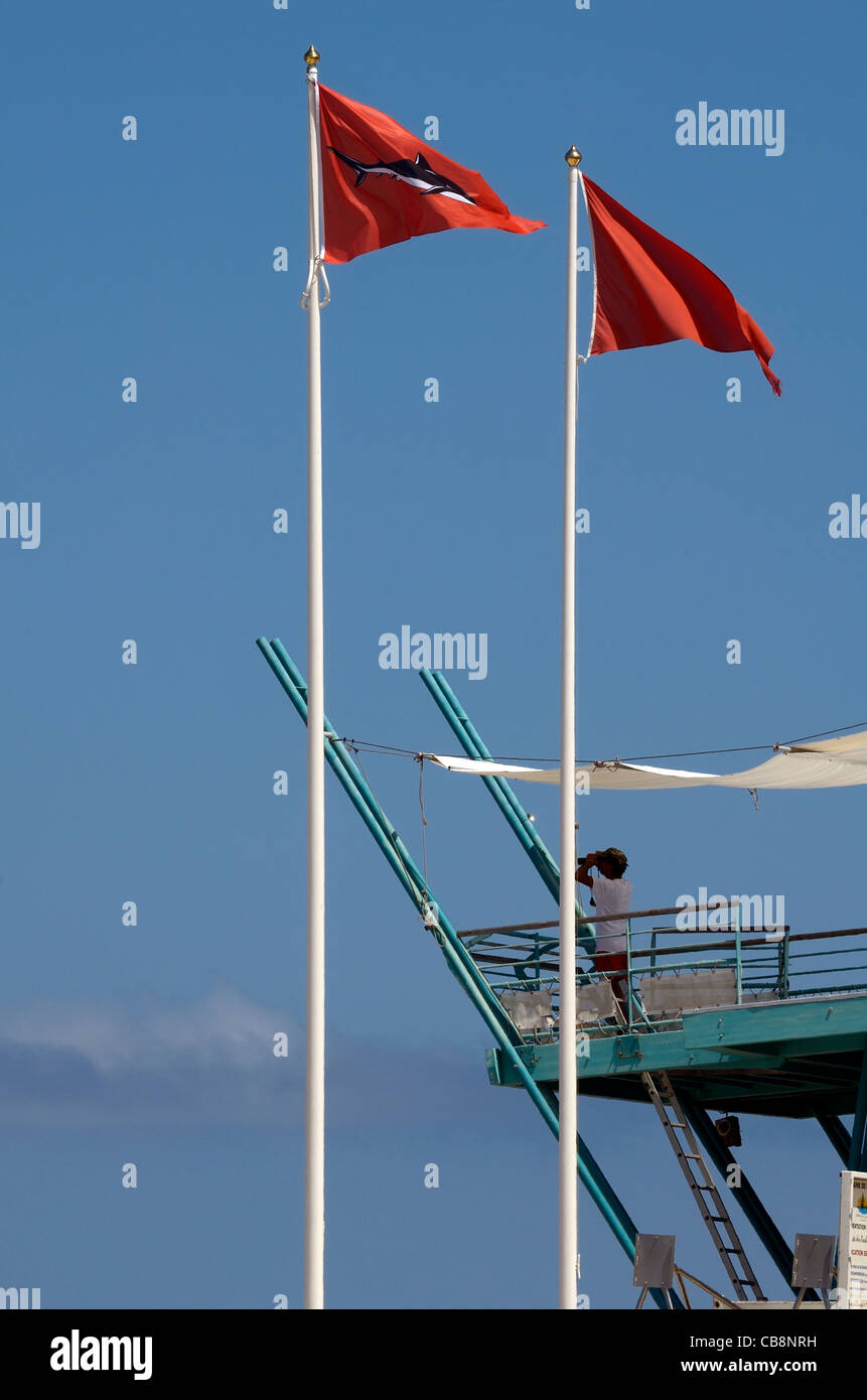 New shark flags on Reunion island beach Stock Photo - Alamy