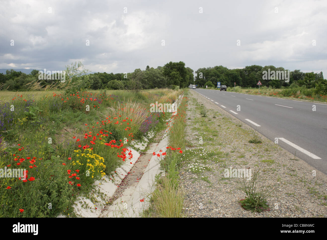 Roadside Wildflowers High Resolution Stock Photography and Images - Alamy