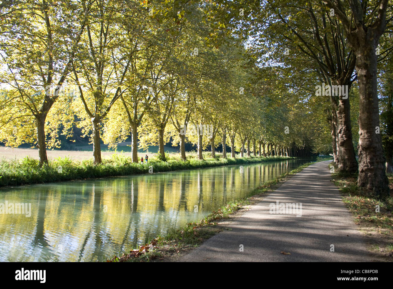 Leafy canal hi-res stock photography and images - Alamy