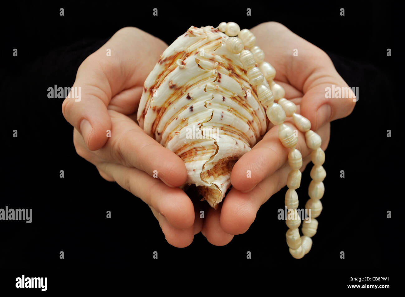 Clam shell string hi-res stock photography and images - Alamy