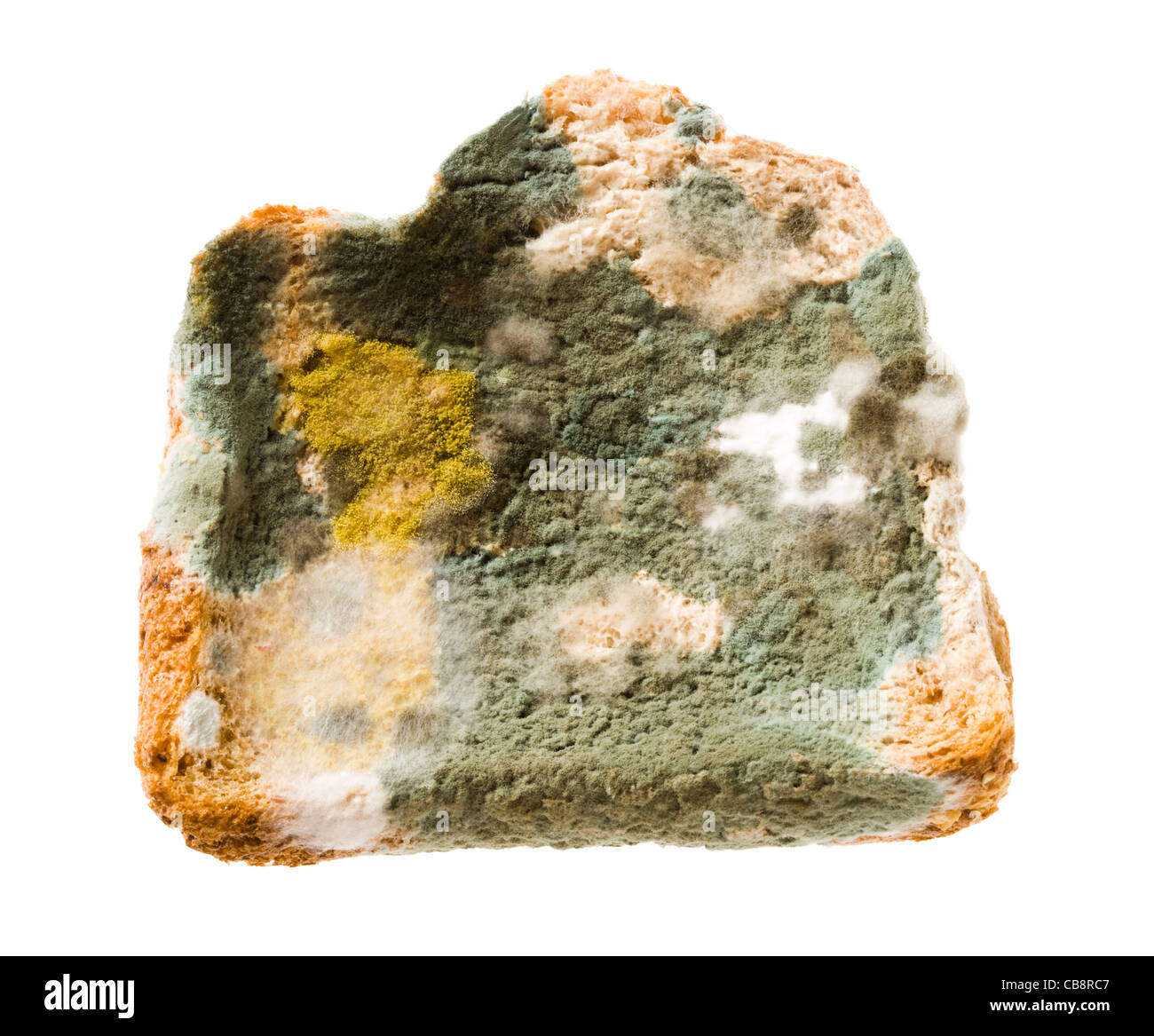 Mouldy Slice Bread Stock Photos & Mouldy Slice Bread Stock Images - Alamy