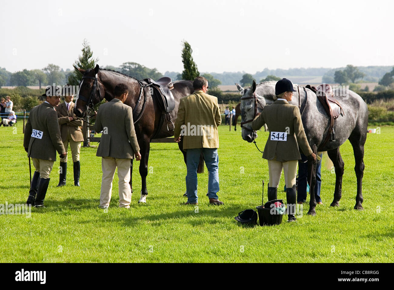 Judging of the Working Hunter Class at an Agricultural Show Stock Photo ...