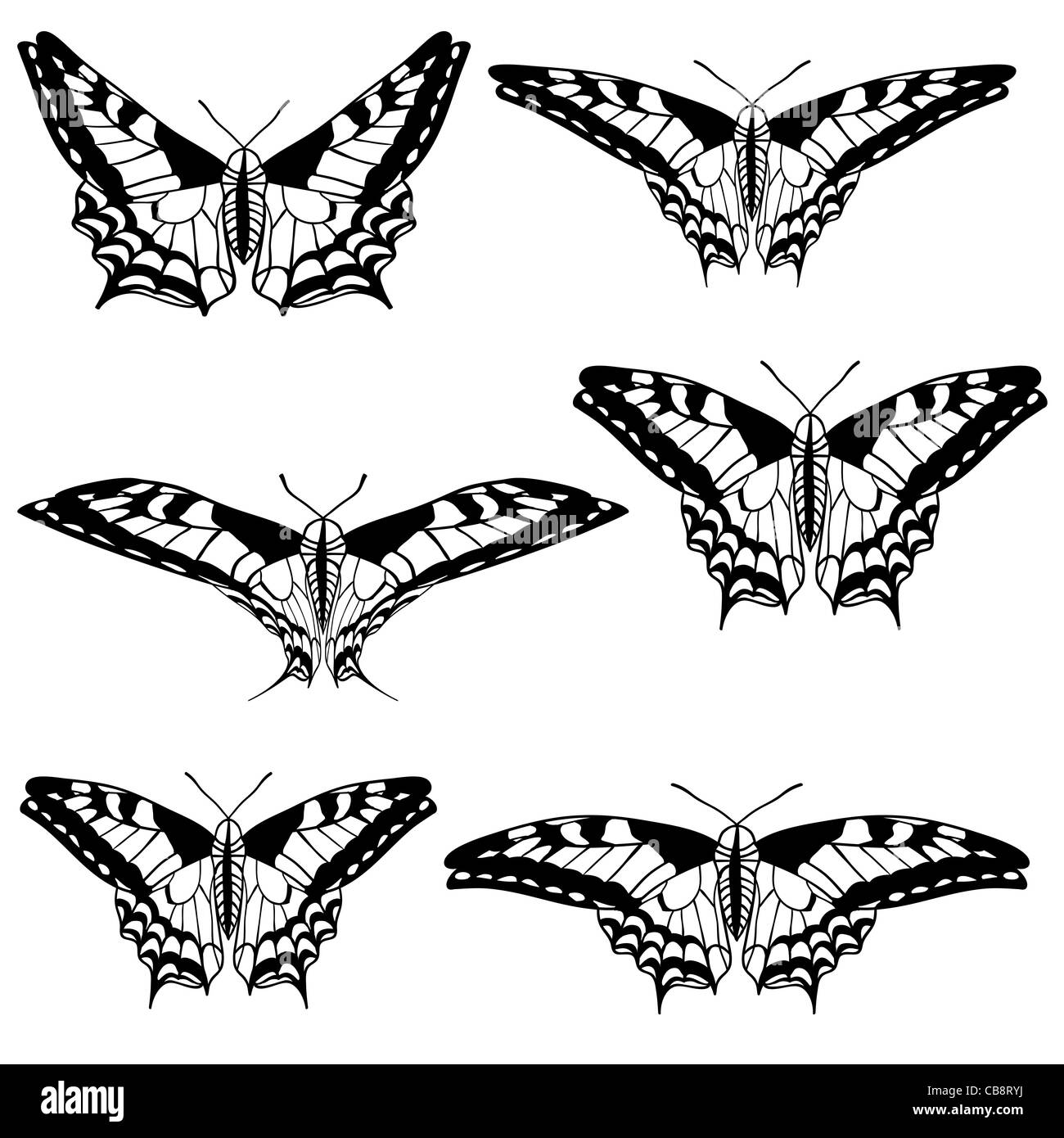 Vector set of beautiful butterflies Stock Photo - Alamy