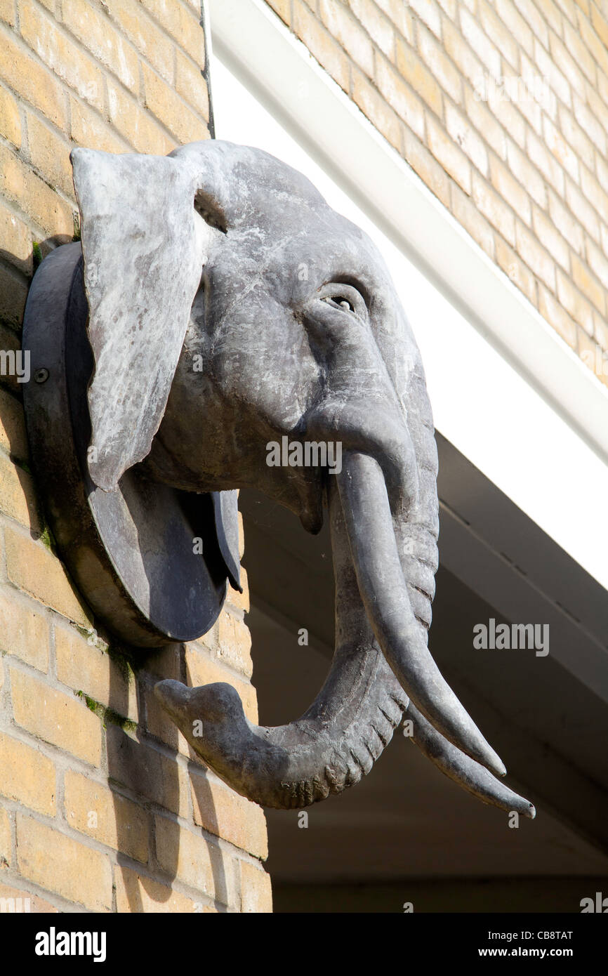 Elephant head statue hi-res stock photography and images - Alamy
