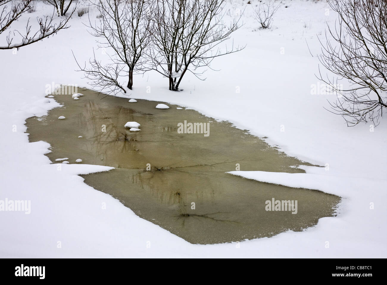 Slushy Puddle In Snowy Winter Countryside Stock Photo - Alamy