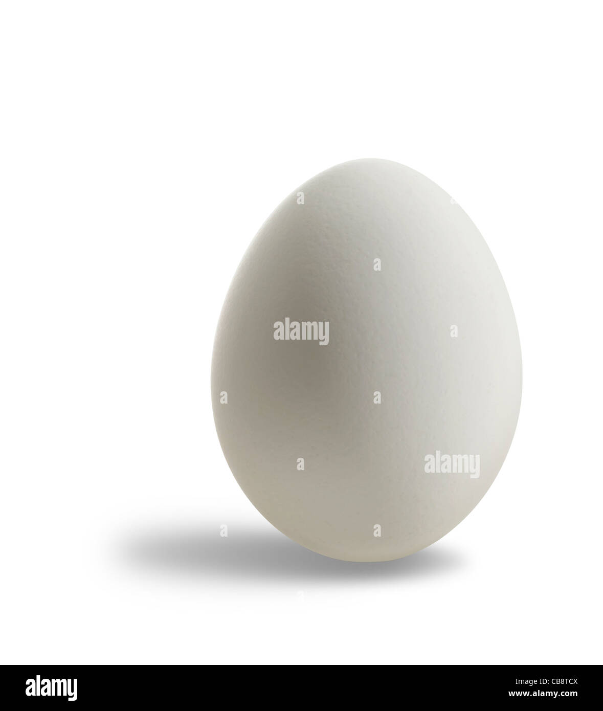 studio photography of a simple clean white egg isolated on white, with ...