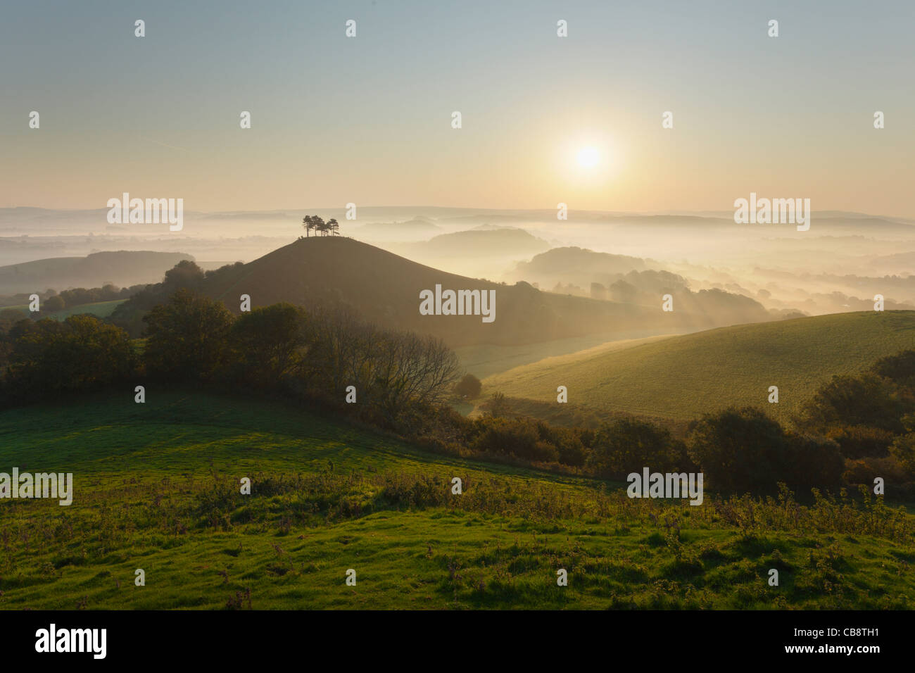 Colmers hill hi-res stock photography and images - Alamy