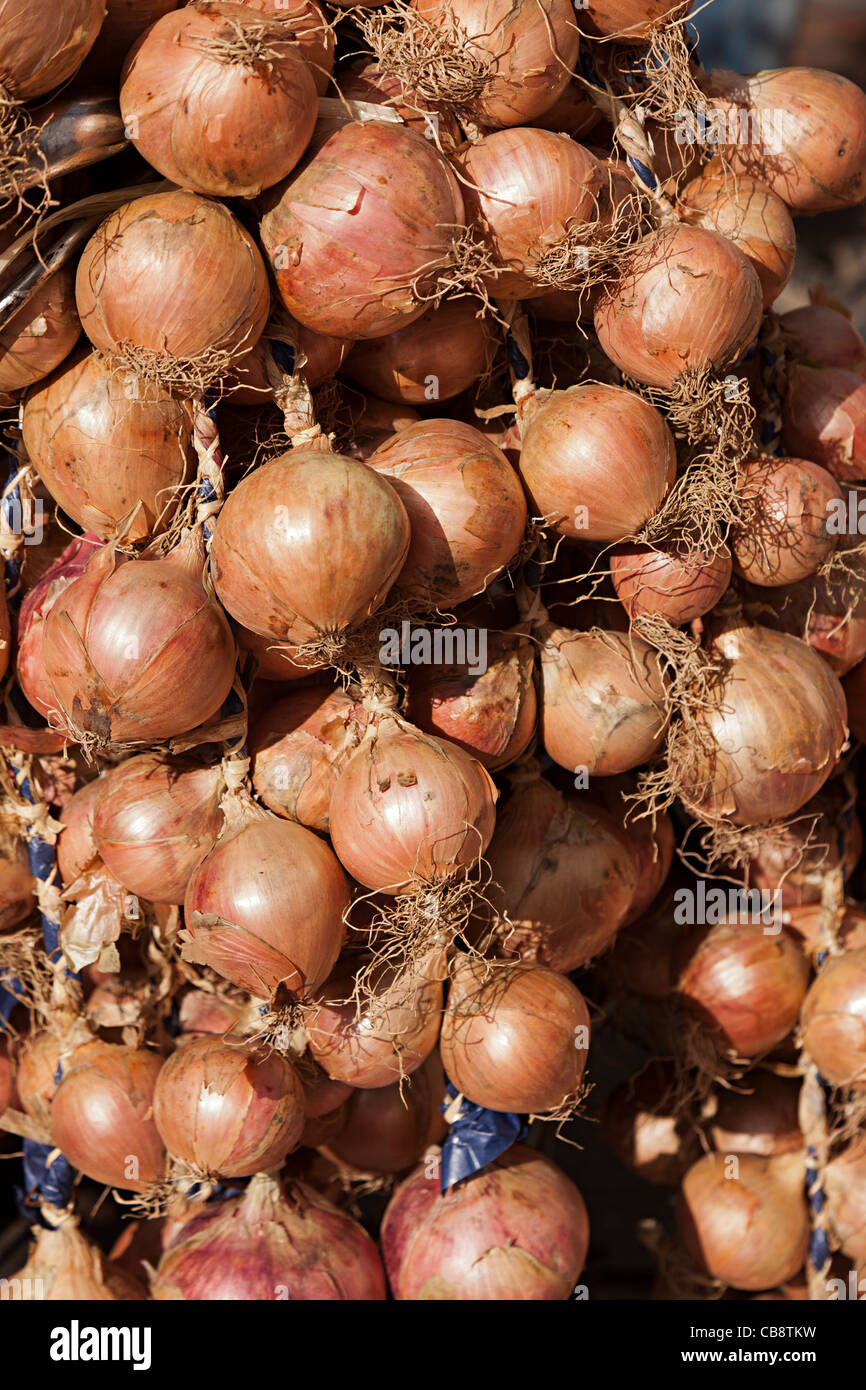 Strings of onions hi-res stock photography and images - Alamy