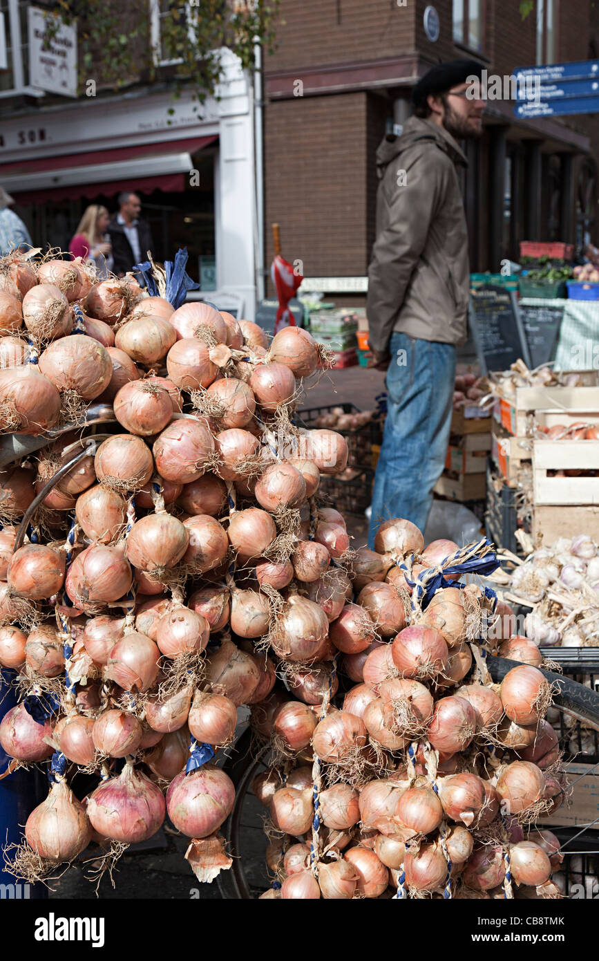 Welsh onions hi-res stock photography and images - Alamy