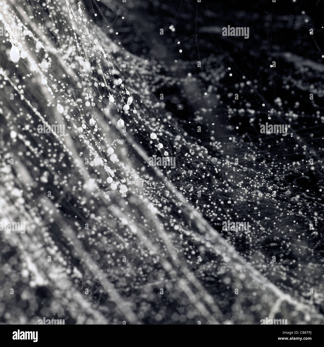 abstract studio photography of sticky and dusty cobwebs in dark back ...