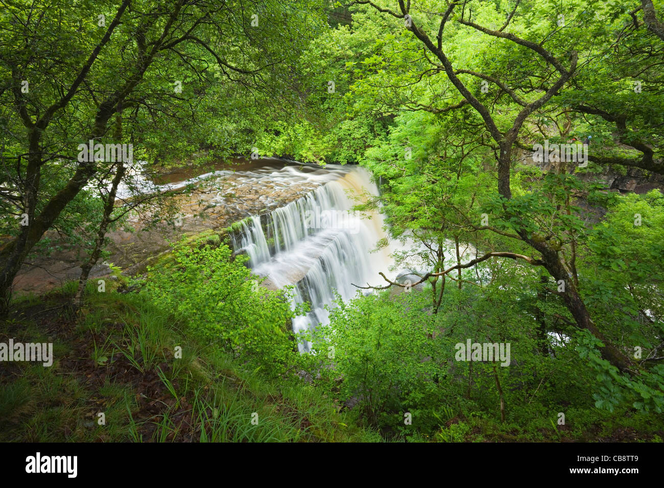 Sgwd Clun-gwyn Waterfall. Near Ystradfellte. Brecon Beacons National ...