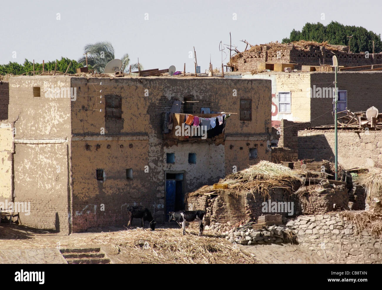 rural scenery with low-grade houses in Egypt (Africa) at evening time ...
