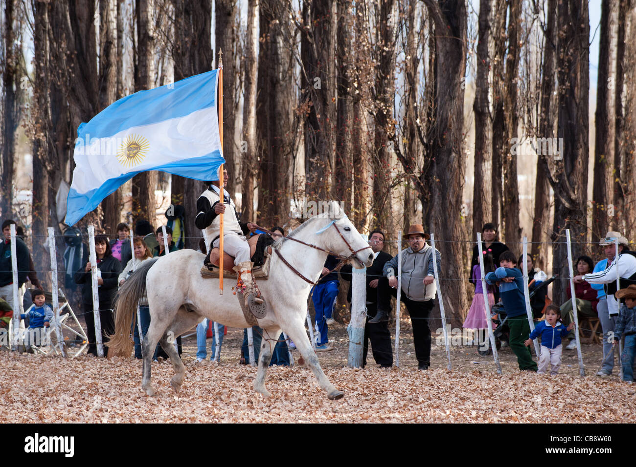 A Gaucho with Argentinian flag riding a horse in exhibitions for ...