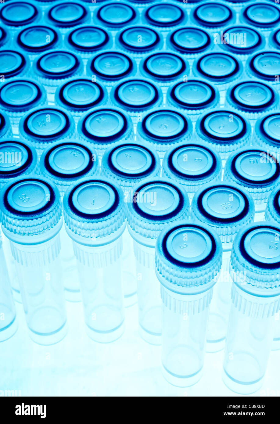 Laboratory plastic test tubes for an experiment in a science research ...