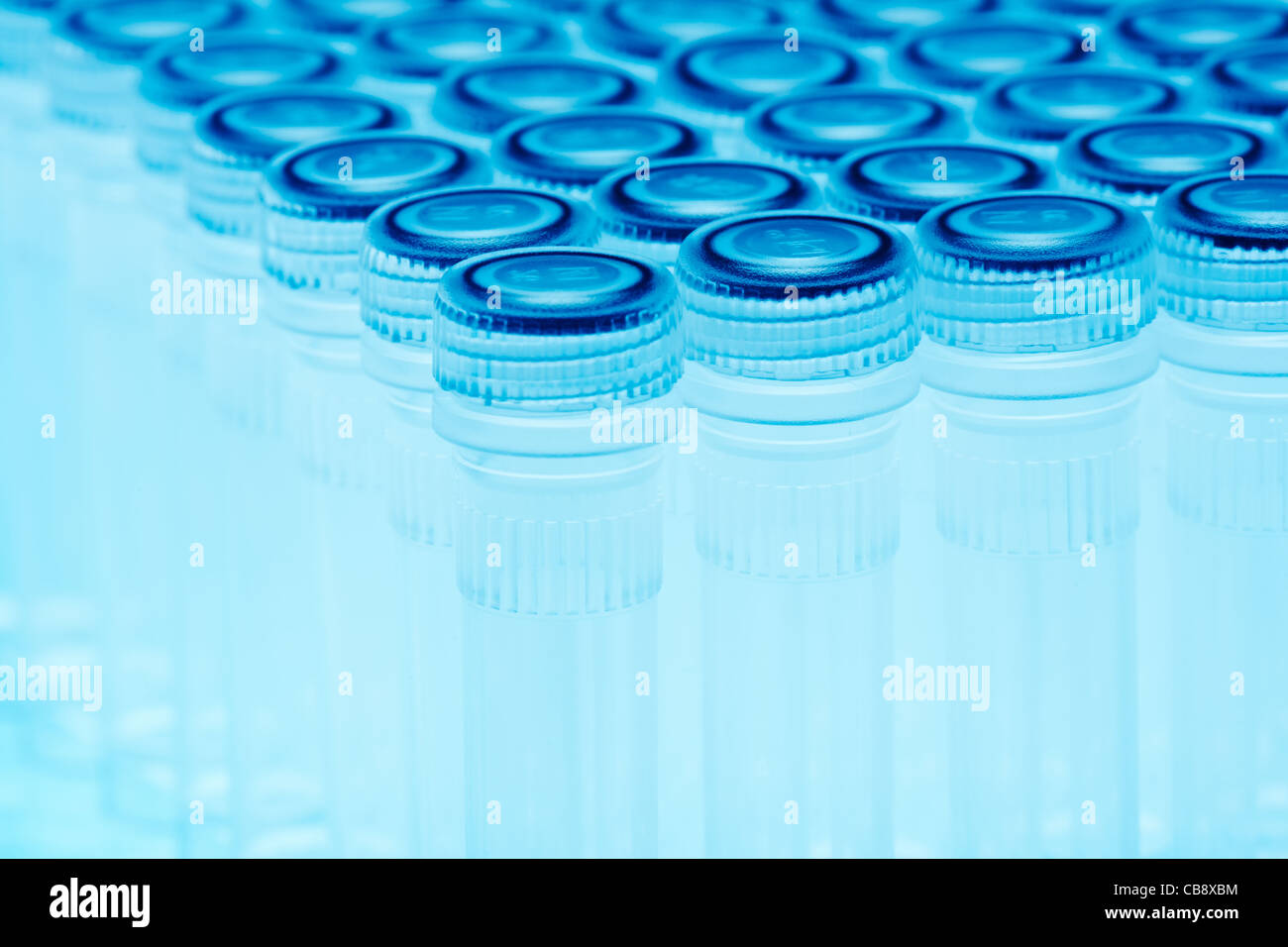 Laboratory plastic test tubes for an experiment in a science research ...