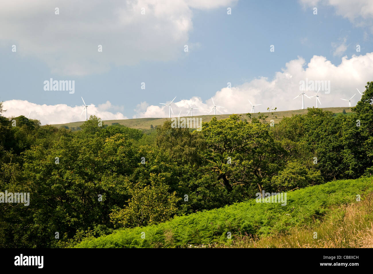 Mid wales farm hi-res stock photography and images - Alamy